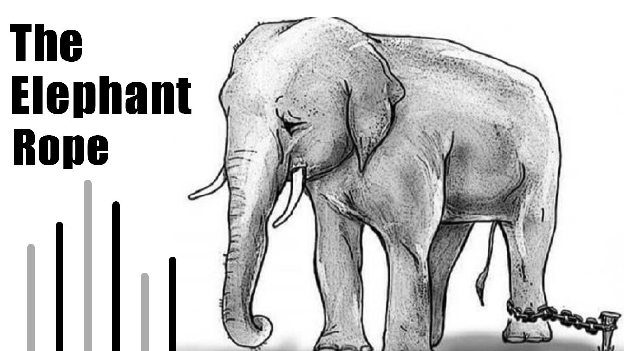 The Elephant Rope (Belief) / stories - YouTube