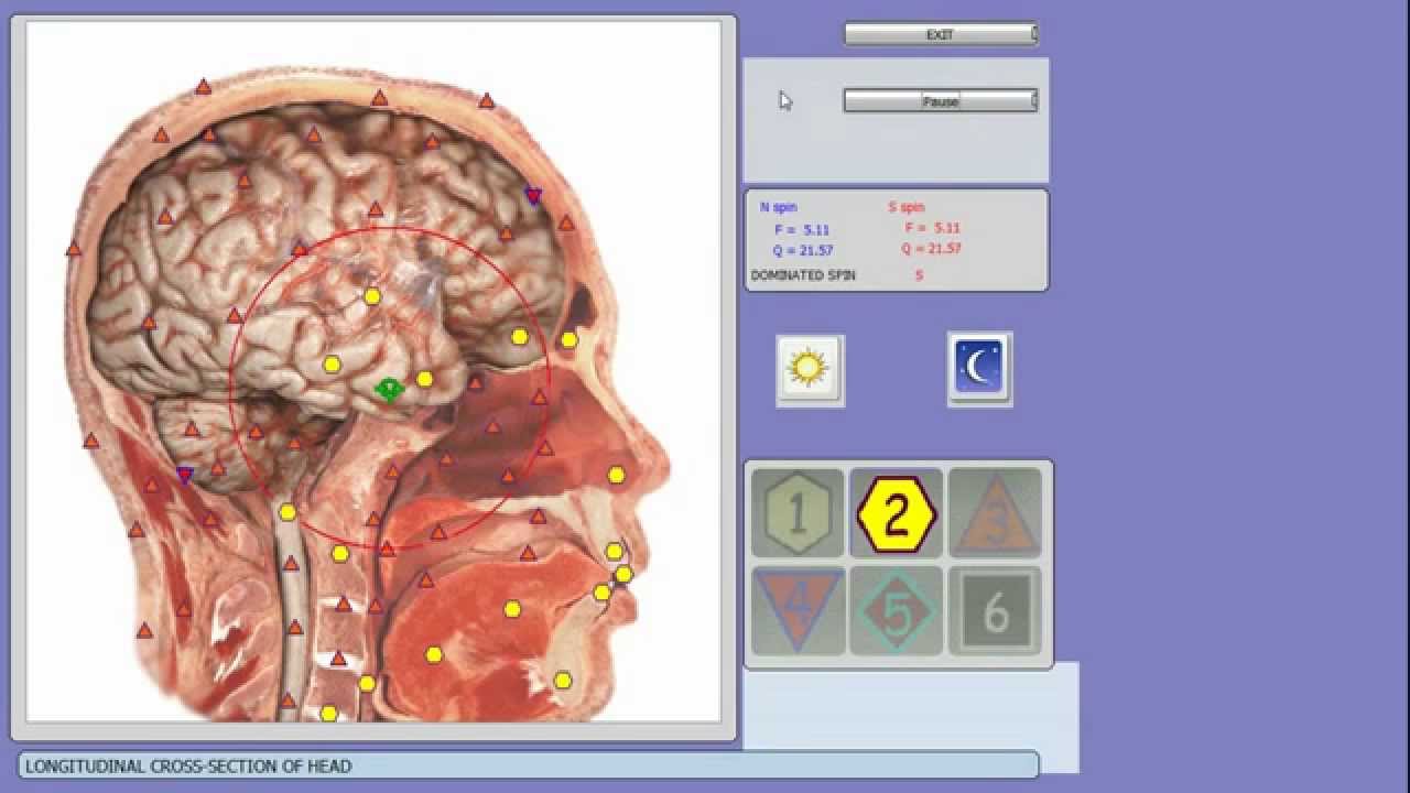 Meta Therapy After Scanning - YouTube