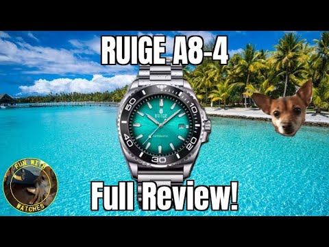 Is this Ruige A8-4 Automatic Watch worth adding to your very affordable ...