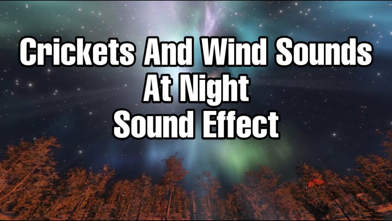 Crickets And Wind Sounds At Night Sound Effect | 1 Hour By SS - YouTube