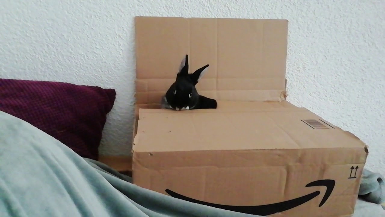 Haunted Amazon Box - YouTube