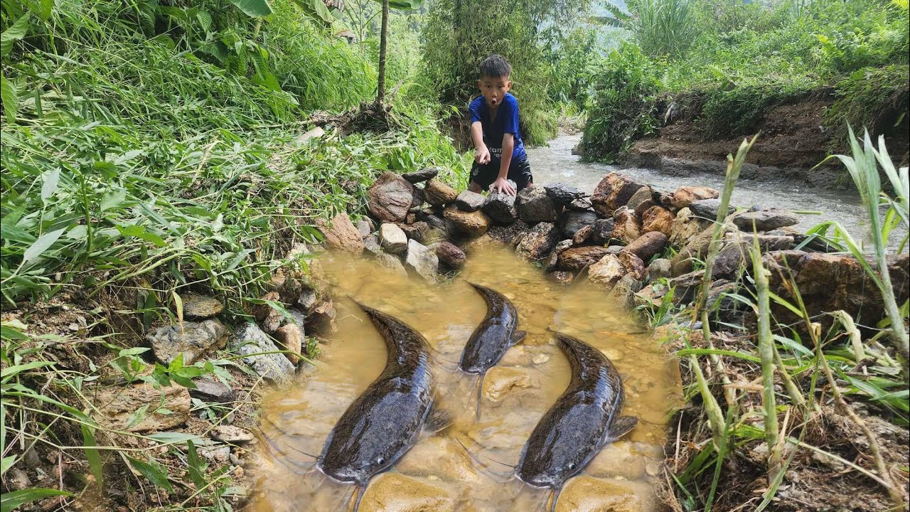 The boy designed a stone fish trap to catch stream fish, the orphan boy ...