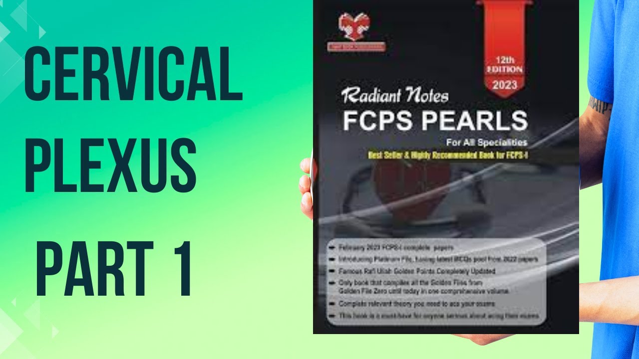Cervical Plexus | Part 1 Preparation | Key Points Explained - YouTube