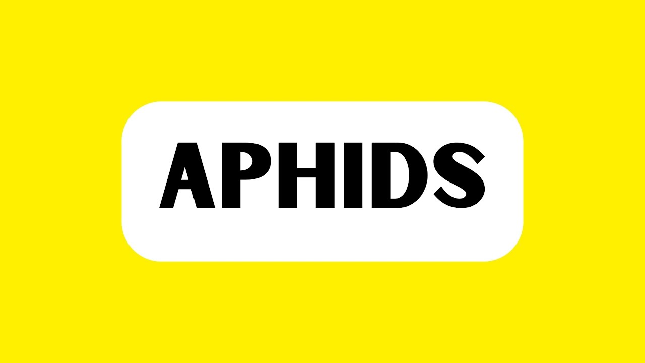 How to Pronounce Aphids (Correctly) - YouTube
