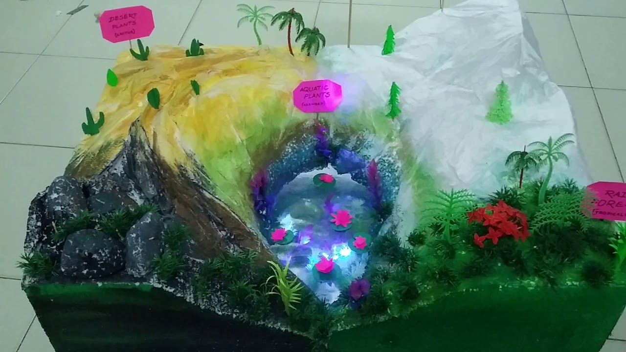 Science project for kids ADAPTATION IN PLANT - YouTube