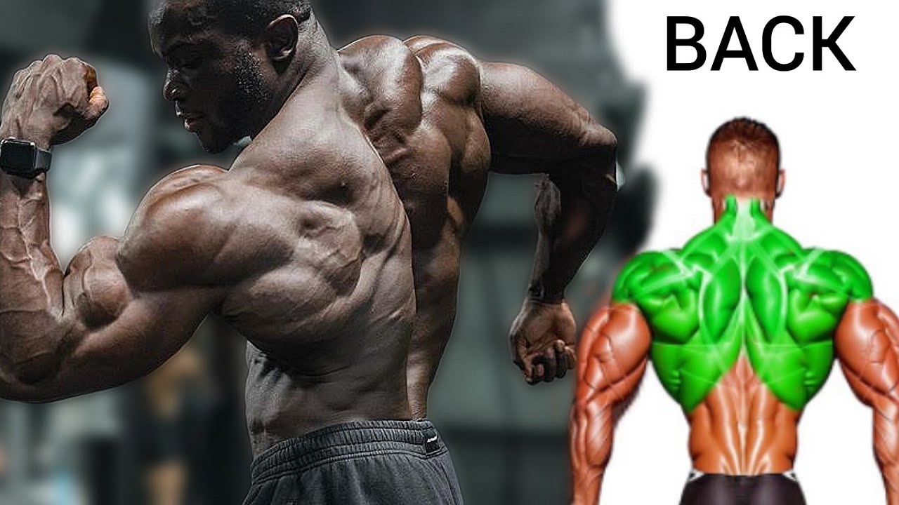 Full Back Workout at Gym to Grow Big Back - YouTube