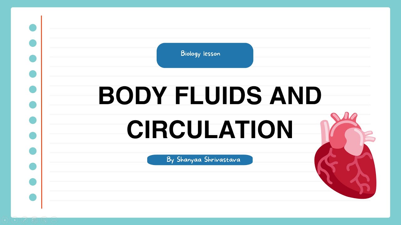 Body fluid and its circulation---Blood || NCERT BASED NEET REVISION ...