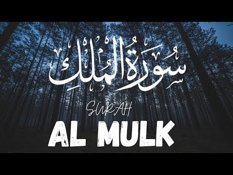 Al Mulk for Relaxation, Calming with smileitsunnah18 #Alaa Aqel #surah #surahmulk