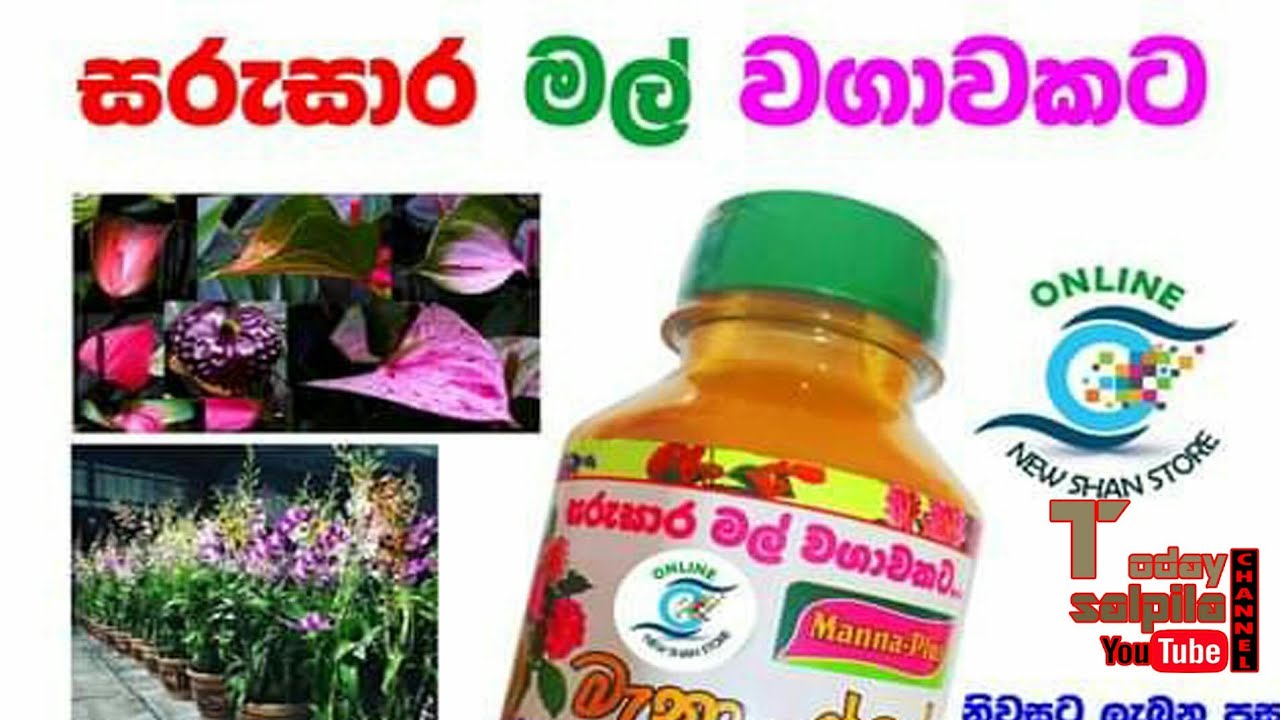 today salpila||online shopping|| new items|| දියර මල් පොහොර|| නිවසට ...