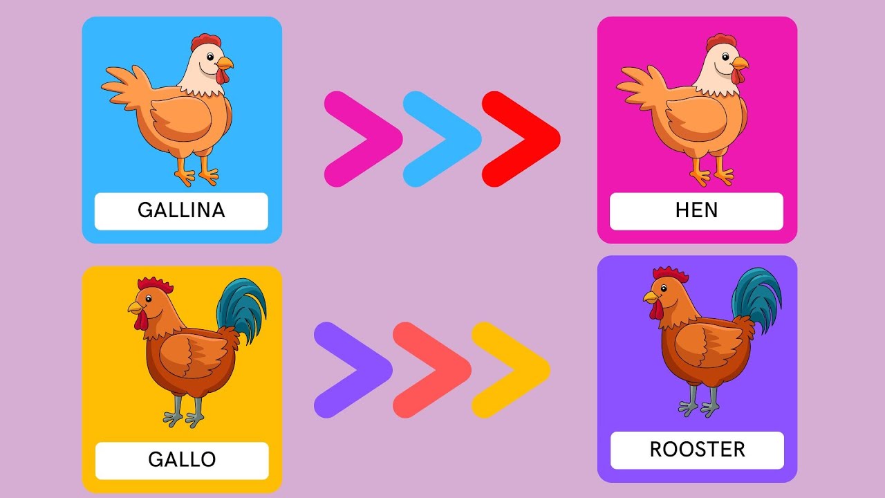 🐾 Animales en INGLES & ESPAÑOL! 🦁🐳 Aprende los Animales en Dos Idiomas ...