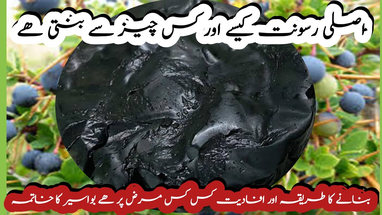 Rasont ke fayde | Health Benefits of Rasont Urdu/Hindi | Hakeem Tariq ...