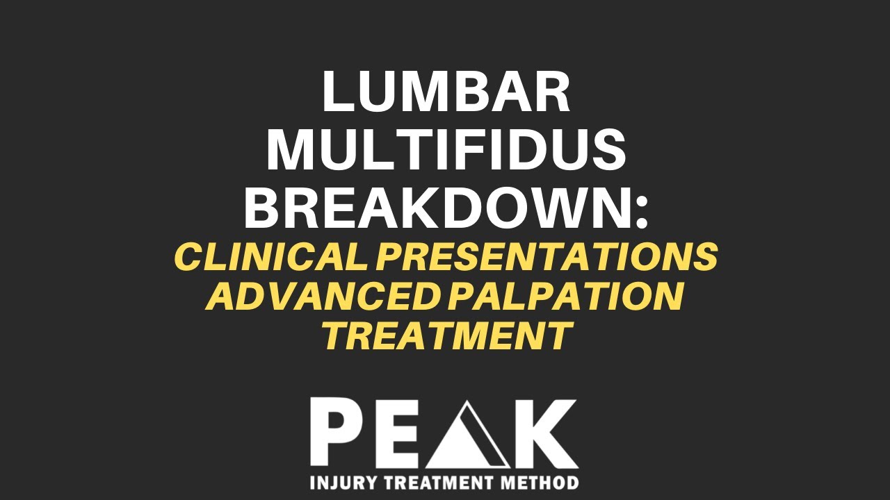 Lumbar Multifidus Muscle: Clinical Presentations, Palpation & Treatment ...