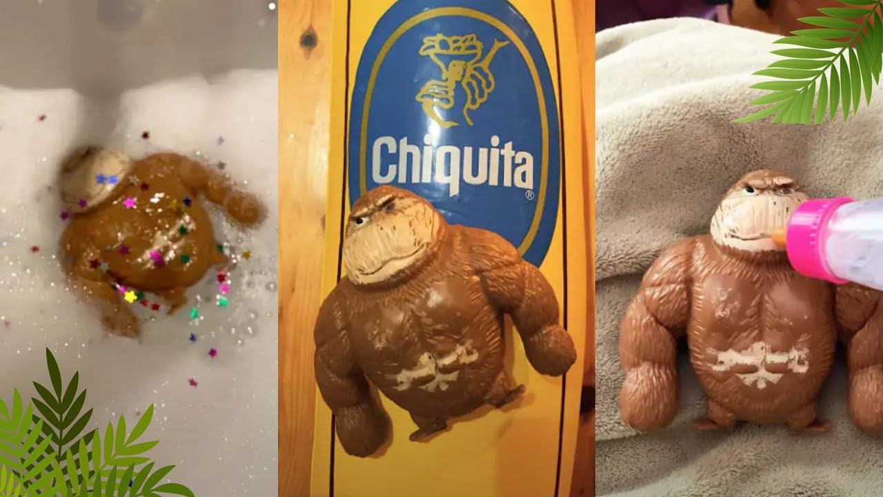 Me and my Monkey 🦧 Compilation Routine I The Famous Monkey - YouTube