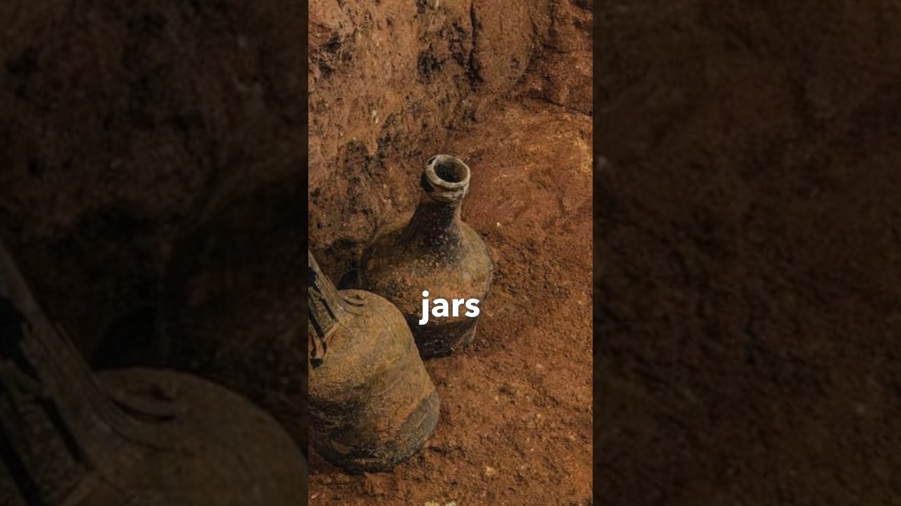 250-Year-Old Cherries Found in George Washington's Mount Vernon Cellar ...