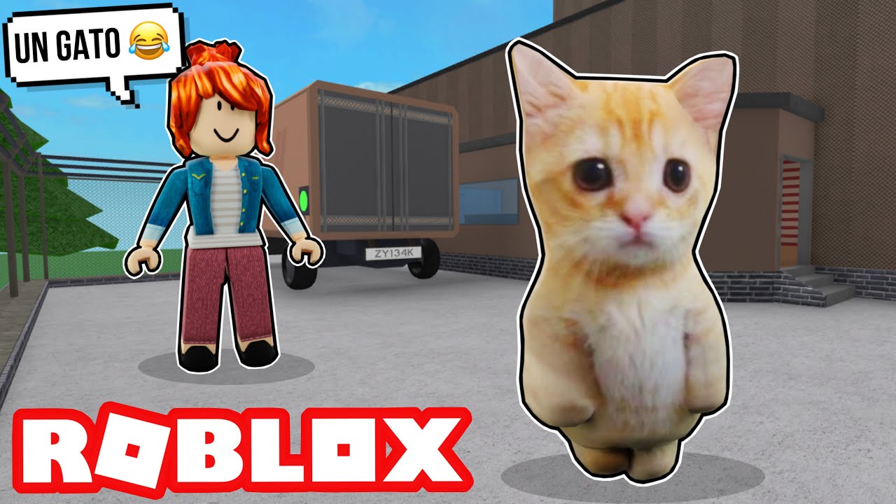 ¡ME CONVIERTO EN UN GATO EN MM2! 🐱/ CHIQUITO ROBLOX - YouTube