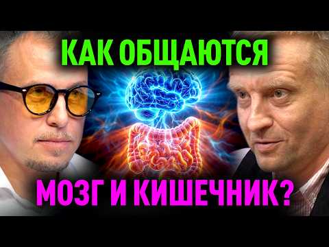КТО ГЛАВНЕЕ: МОЗГ или КИШЕЧНИК? Дмитрий АЛЕКСЕЕВ. Май 2026.