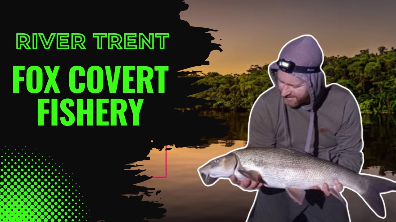 🎣 Barbel, Carp & Zander! River Trent Fishing with Mates at Fox Covert ...