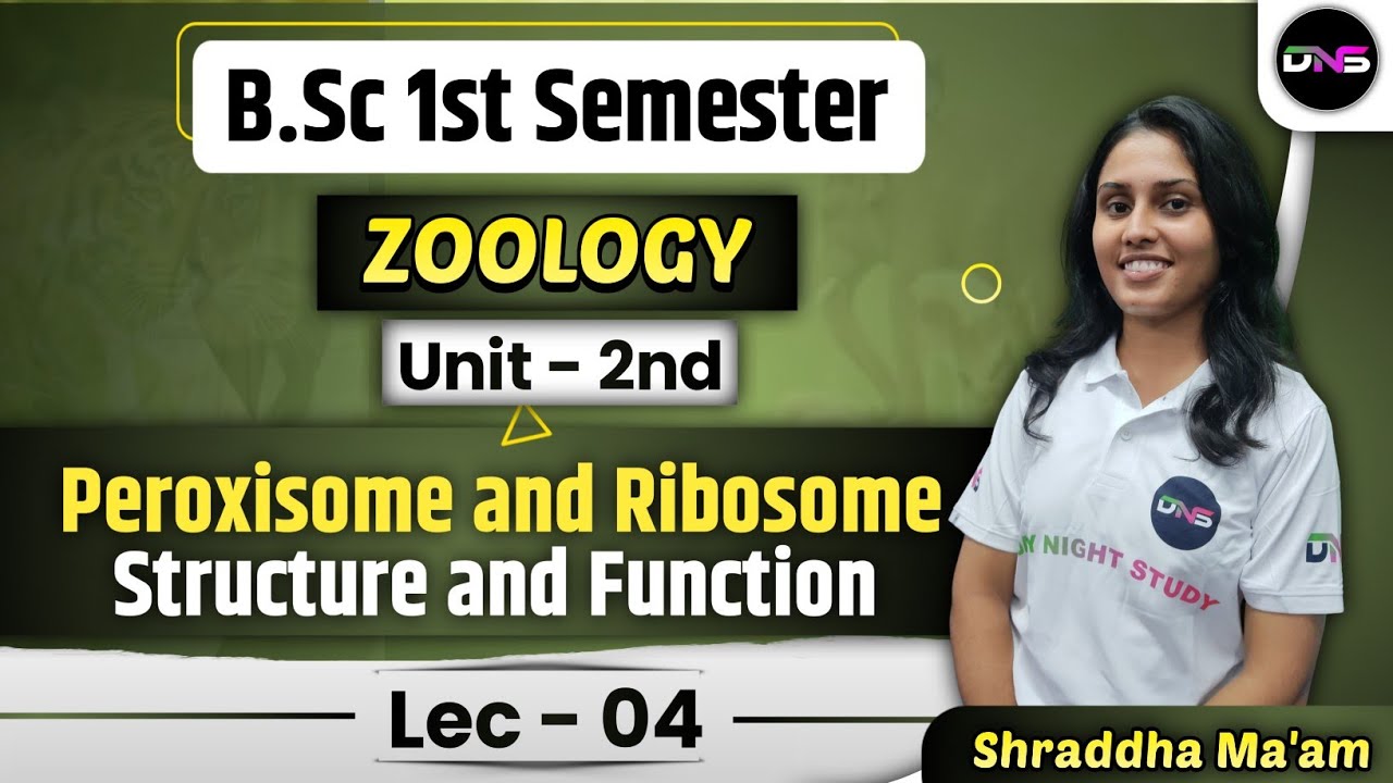 B.Sc 1st Semester Zoology Unit-2nd Peroxisome and Ribosome Structure ...