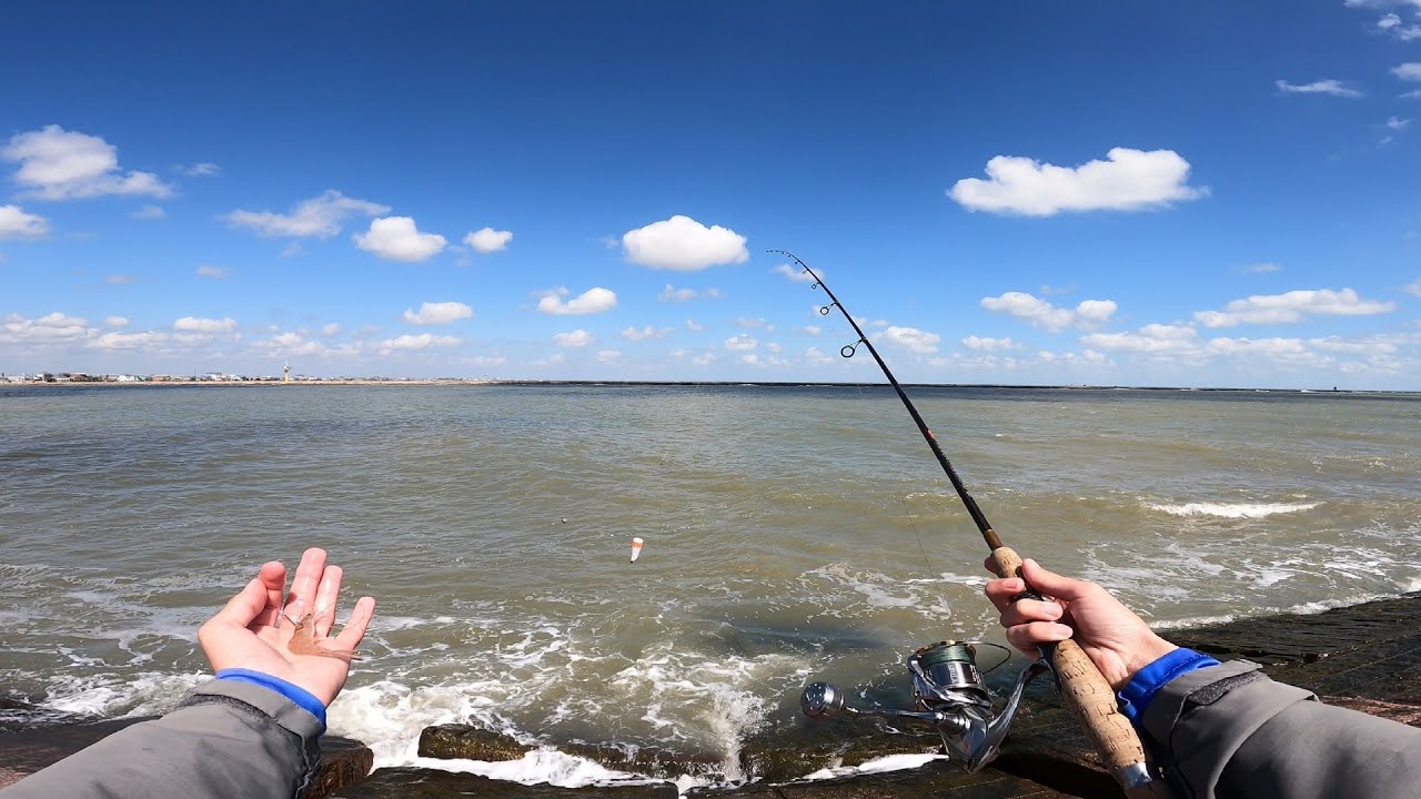 Texas Jetty Fishing With LIVE SHRIMP. Surfside Jetty Quintana side ...