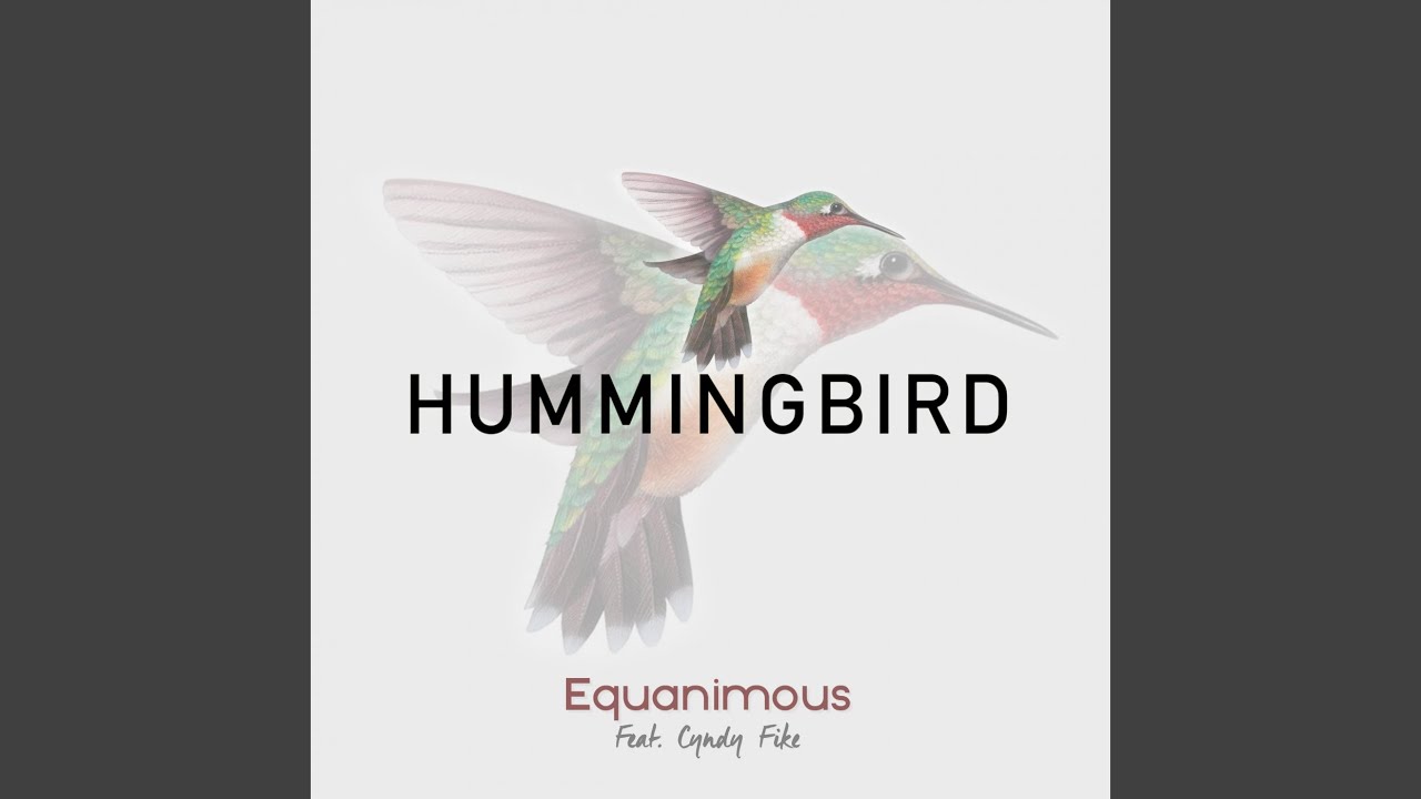 Hummingbird - YouTube