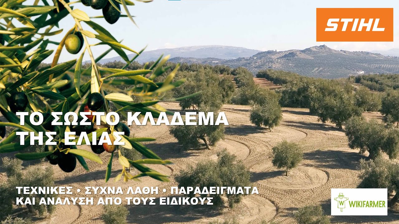 Διαδικτυακό σεμινάριο Ελαιοκομίας με θέμα: "Το Σωστό κλάδεμα της Ελιάς ...