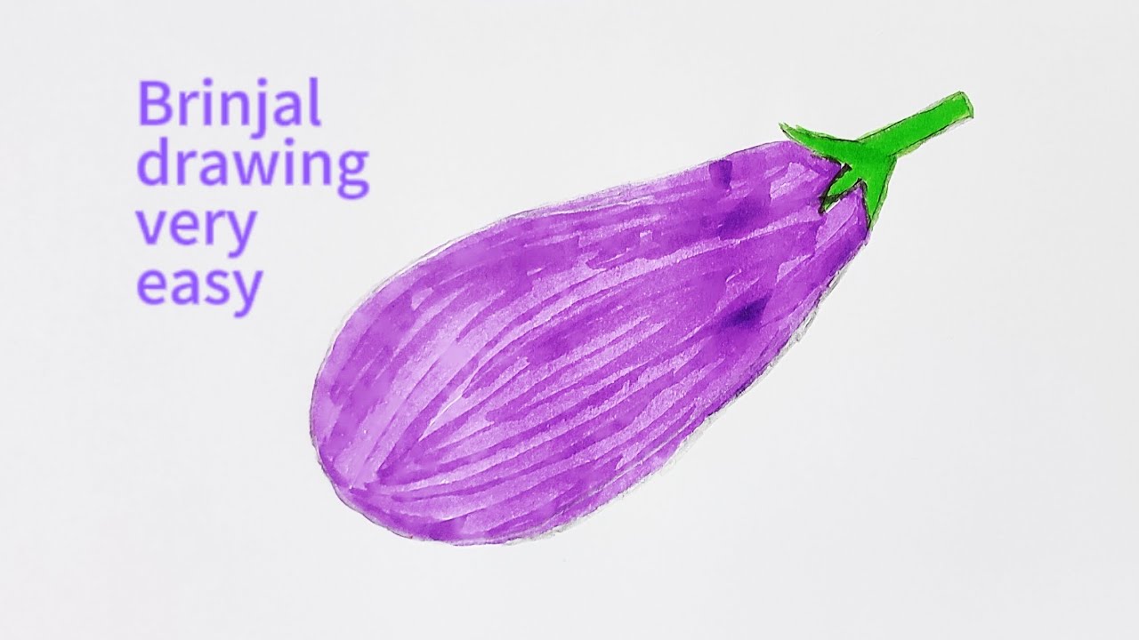 Brinjal drawing | Easy brinjal drawing | How to draw a brinjal drawing ...