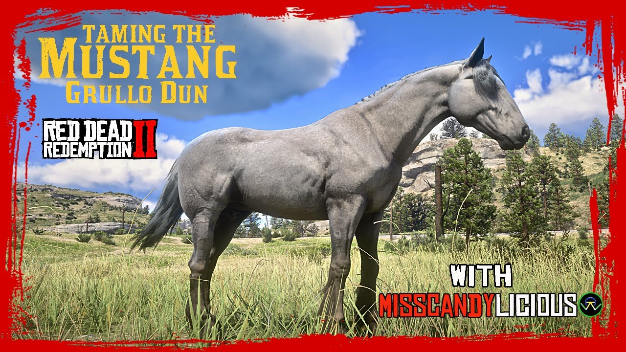 Red Dead Redemption 2 MissCandyLicious taming the Mustang grullo Dun ...