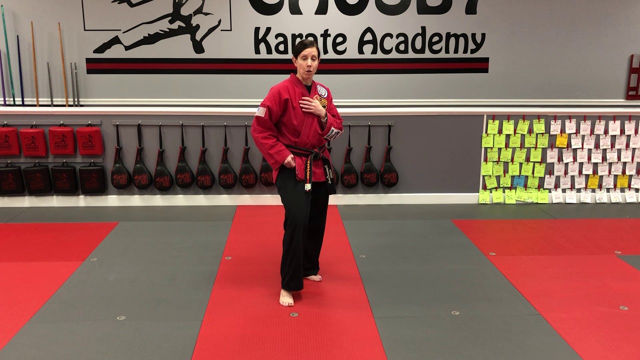1st Gup (Blue/Red Belt) - Red Stripe - Jump Reverse Roundhouse Kick ...