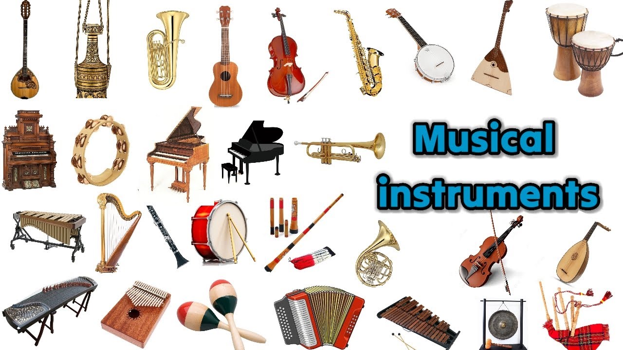 List of Musical Instruments l Musical Instruments Names in English With ...