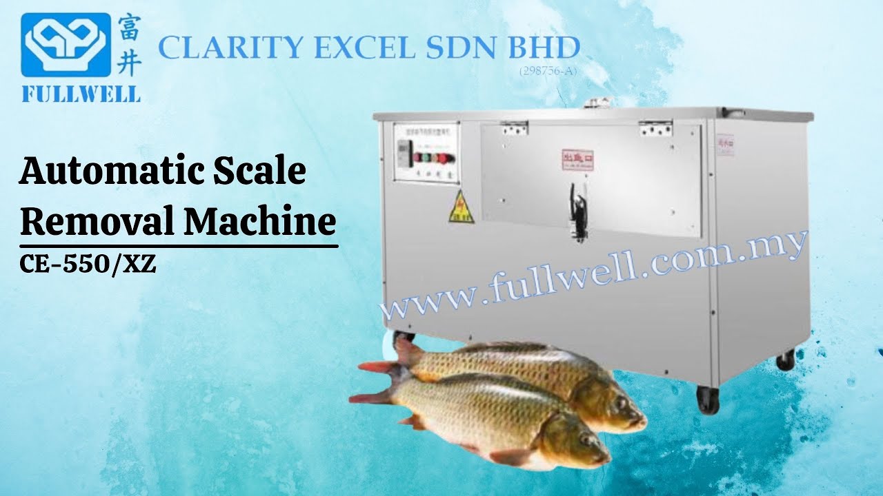 Automatic Scale Removal Machine - YouTube