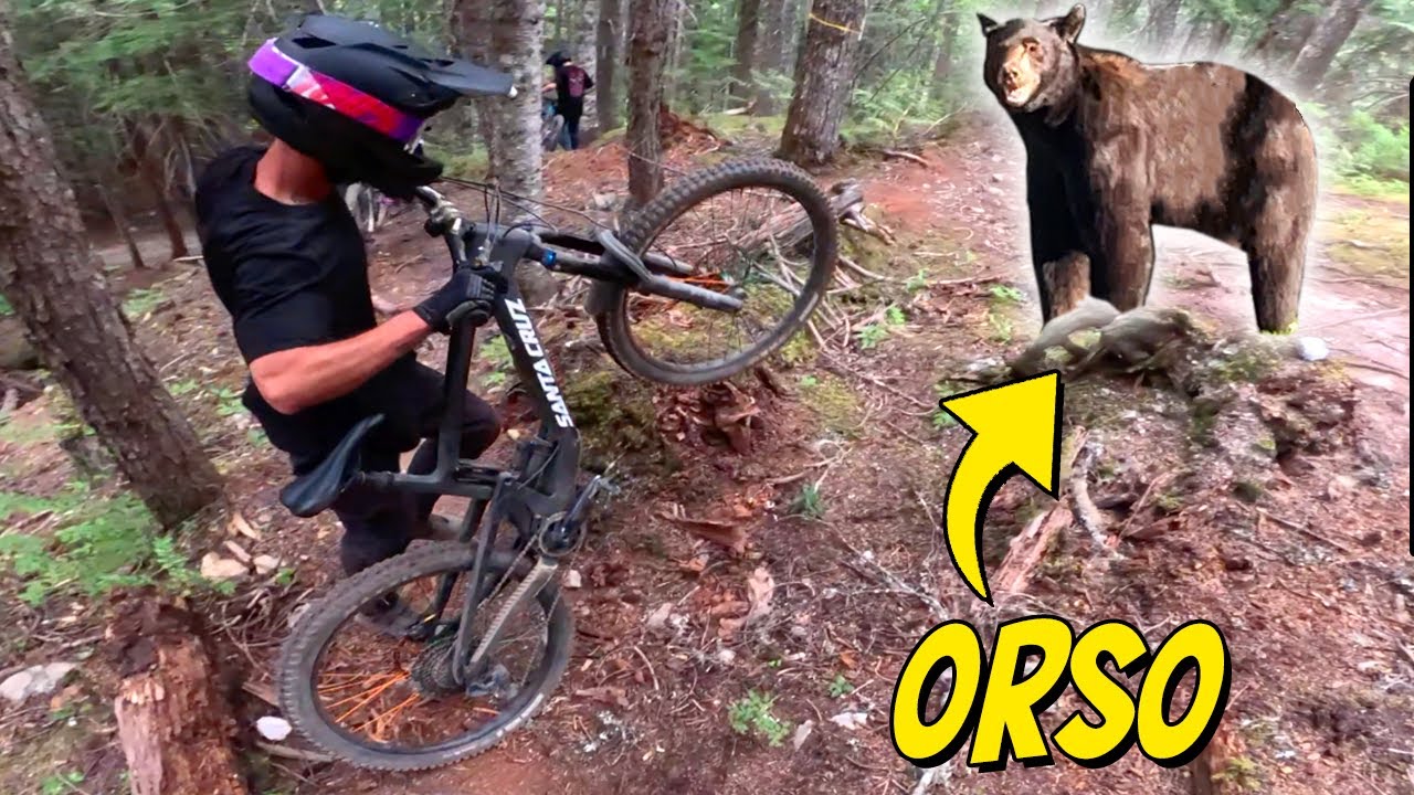 INCONTRO RAVVICINATO CON UN ORSO IN BICI ☠️ (redbull joyride) - YouTube