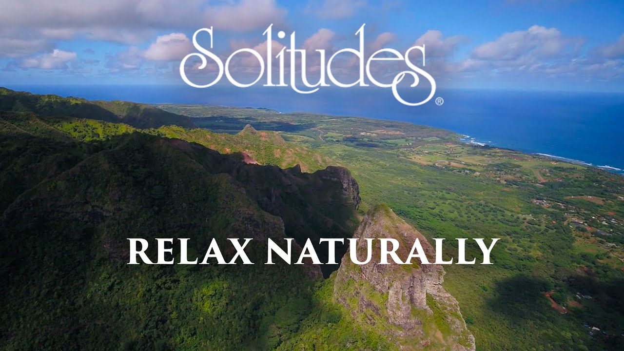 Dan Gibson’s Solitudes - A Breath of Fresh Air | Relax Naturally - YouTube