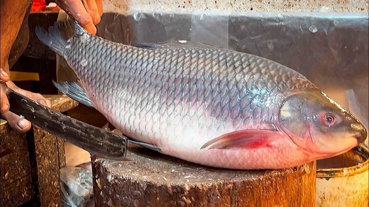 Excellent Cutting Skills | Big Rohu Fish Cutting By Expert Fish Cutter ...