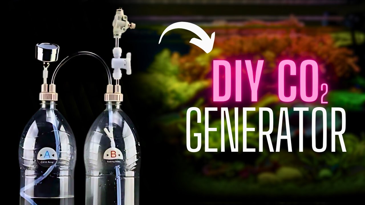 How to make LONG-LASTING DIY CO2 set-up |for your🐟planted tank |at home ...