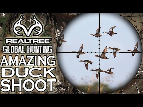 Amazing Duck Shooting - Duck Hunt Open Season! - YouTube