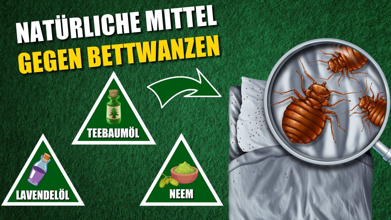 6 Natürliche Mittel gegen Bettwanzen - YouTube