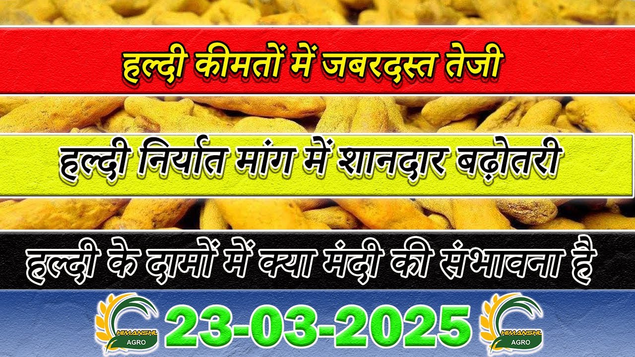 turmeric price today in sangli | turmeric rate in maharashtra - YouTube