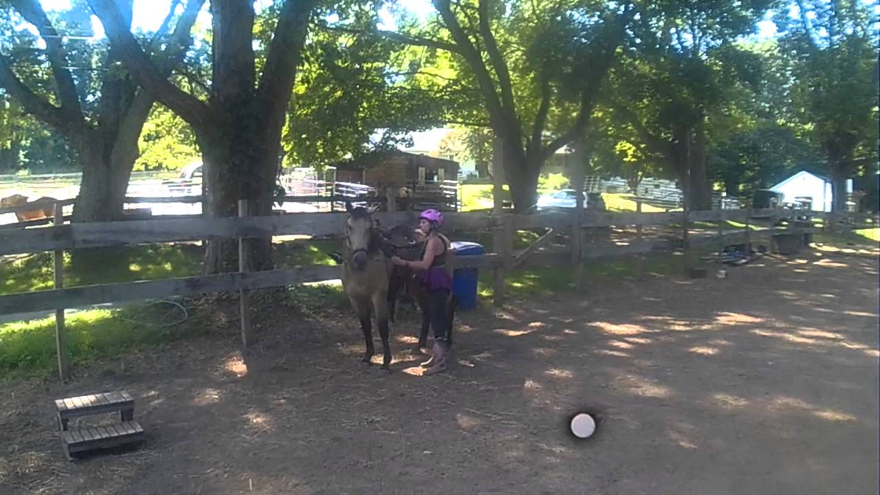 Working with horse that started bolting when mounted - YouTube