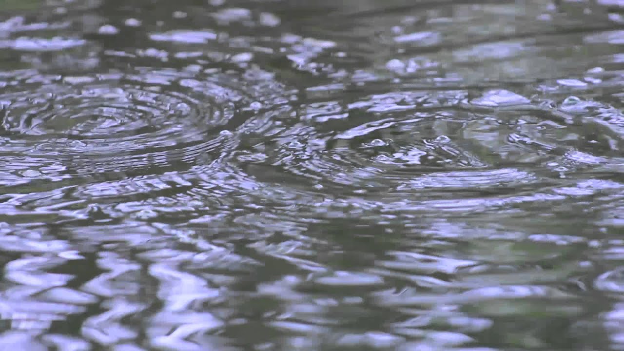 Relaxing Water dripping outside with birds - YouTube