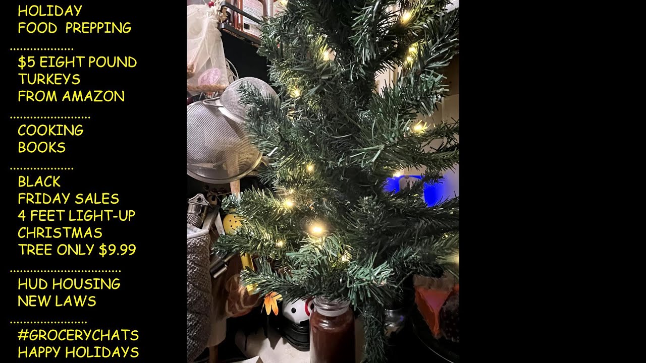 HOLIDAY FOOD PREP😋BLACK FRIDAY $9 LIT TREES AND $5 TURKEYS🛒HUD NEW LAWS ...