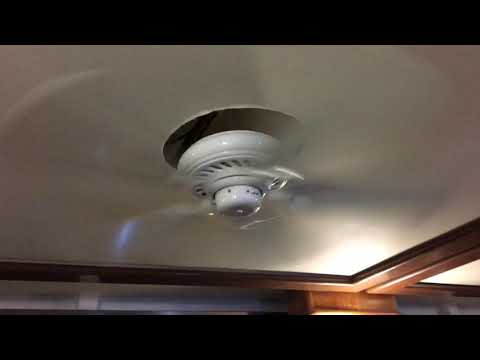 Minka Aire Supra & Casablanca Lanai Ceiling Fans - Caribbean Princess | ECFE