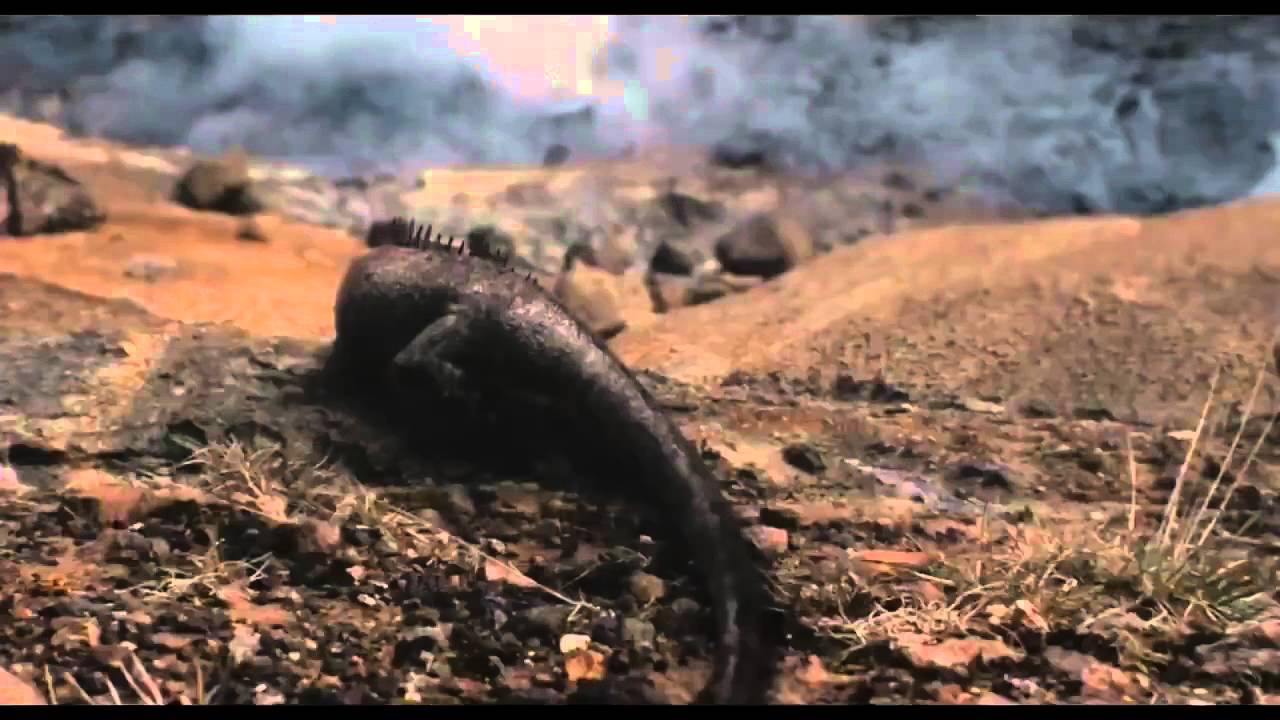 Noah Movie CLIP Creation Sequence 2014 Darren Aronofsky Movie HD - YouTube