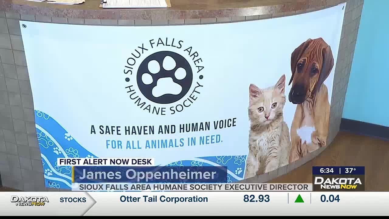Sioux Falls Area Humane Society relies on the help of volunteers - YouTube