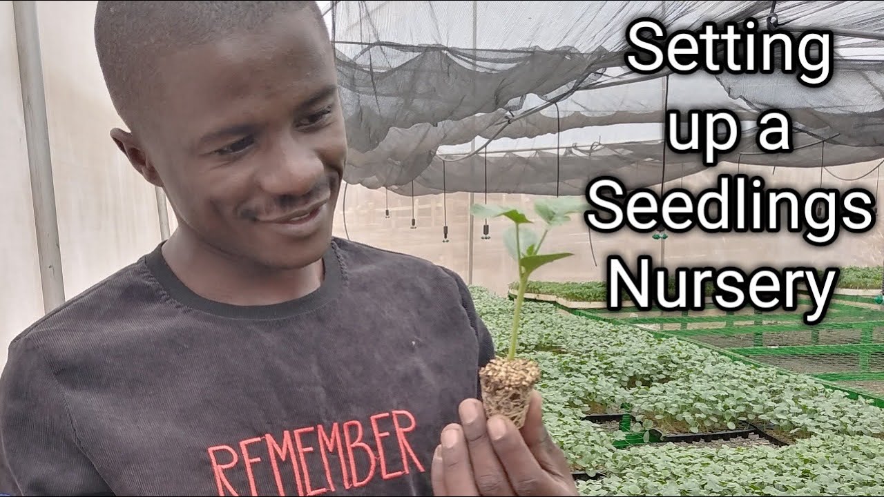 How to Build the Perfect Seedlings Nursery in 3 Weeks - YouTube
