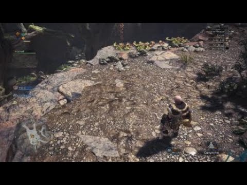 Beware of the Paratoad!! - YouTube