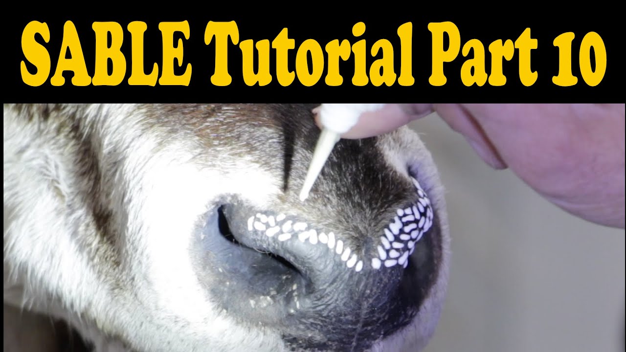 Sable pedestal shoulder mount. Part 10. - YouTube