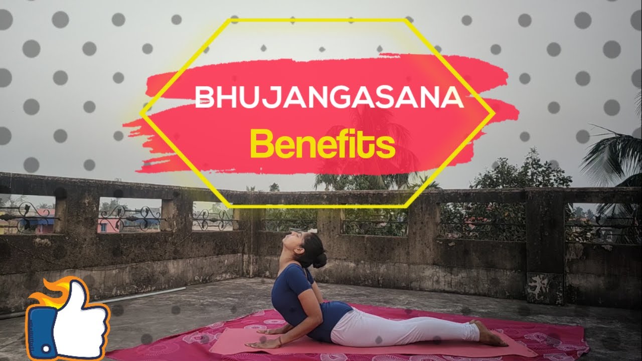 Bhujangasana || The cobra Pose || How to do || Precautions - YouTube