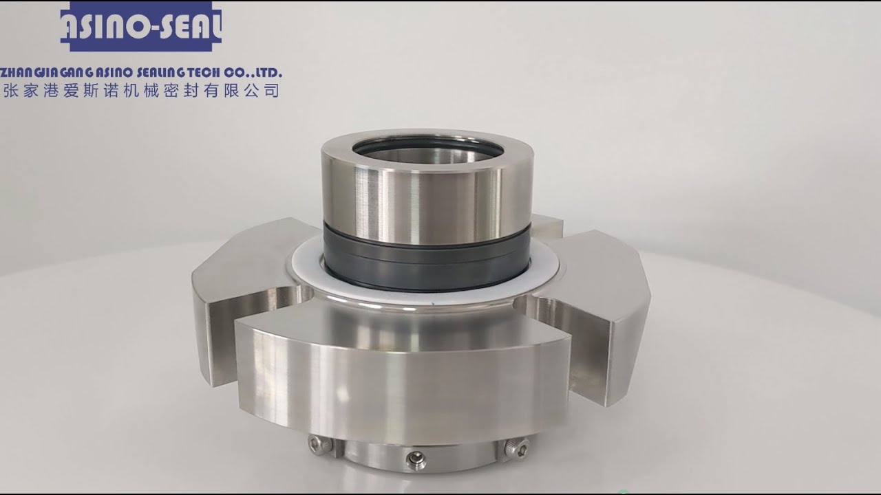 AS-C26D Dual Cartridge Mechanical Seal is to Replace Burgmann Cartex DN ...
