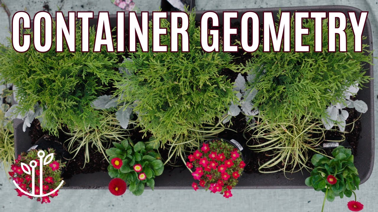 Design Like a Pro: The Geometry Behind Gorgeous Container Plantings 🌸🪴🌻 ...