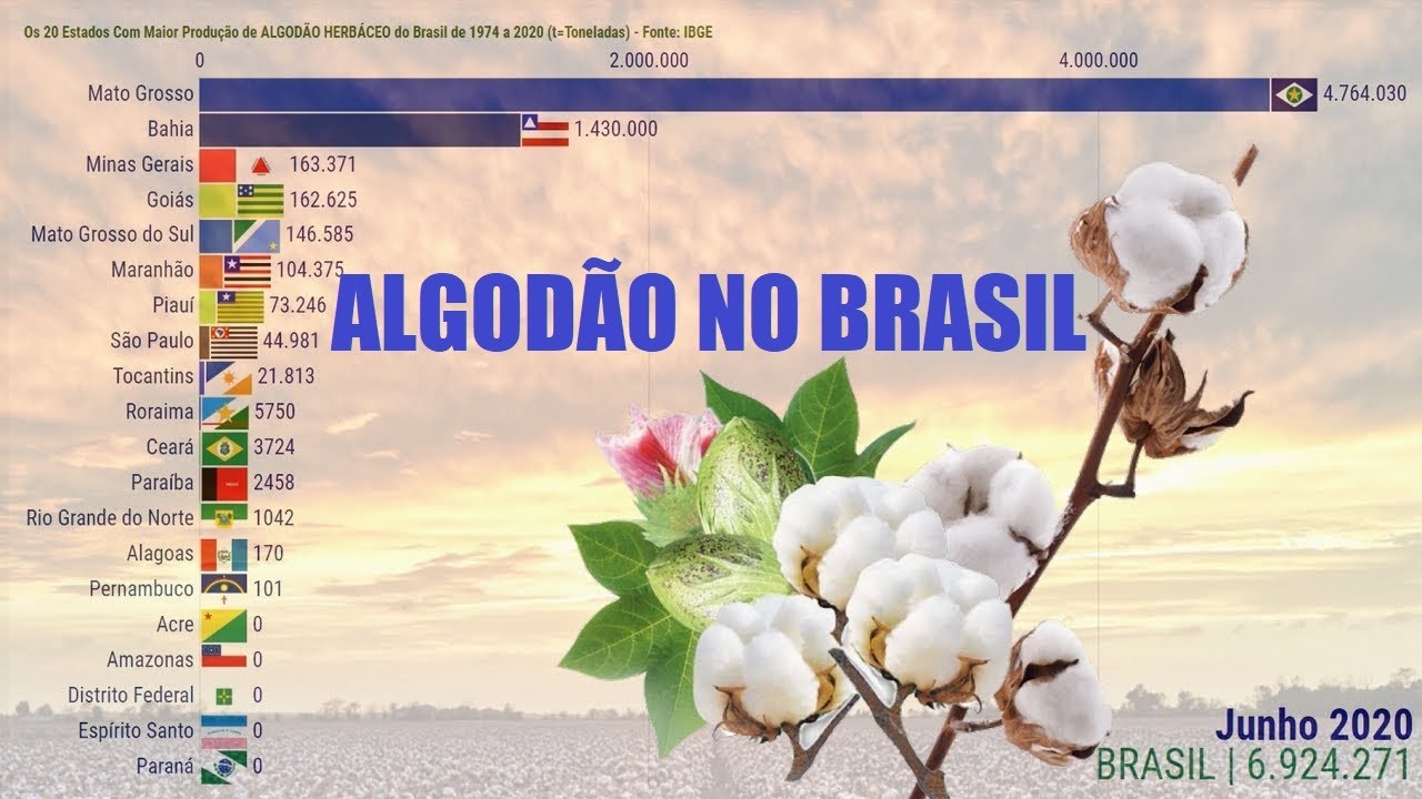 Qual A Maior Região Produtora De Algodão No Brasil Revoeduca